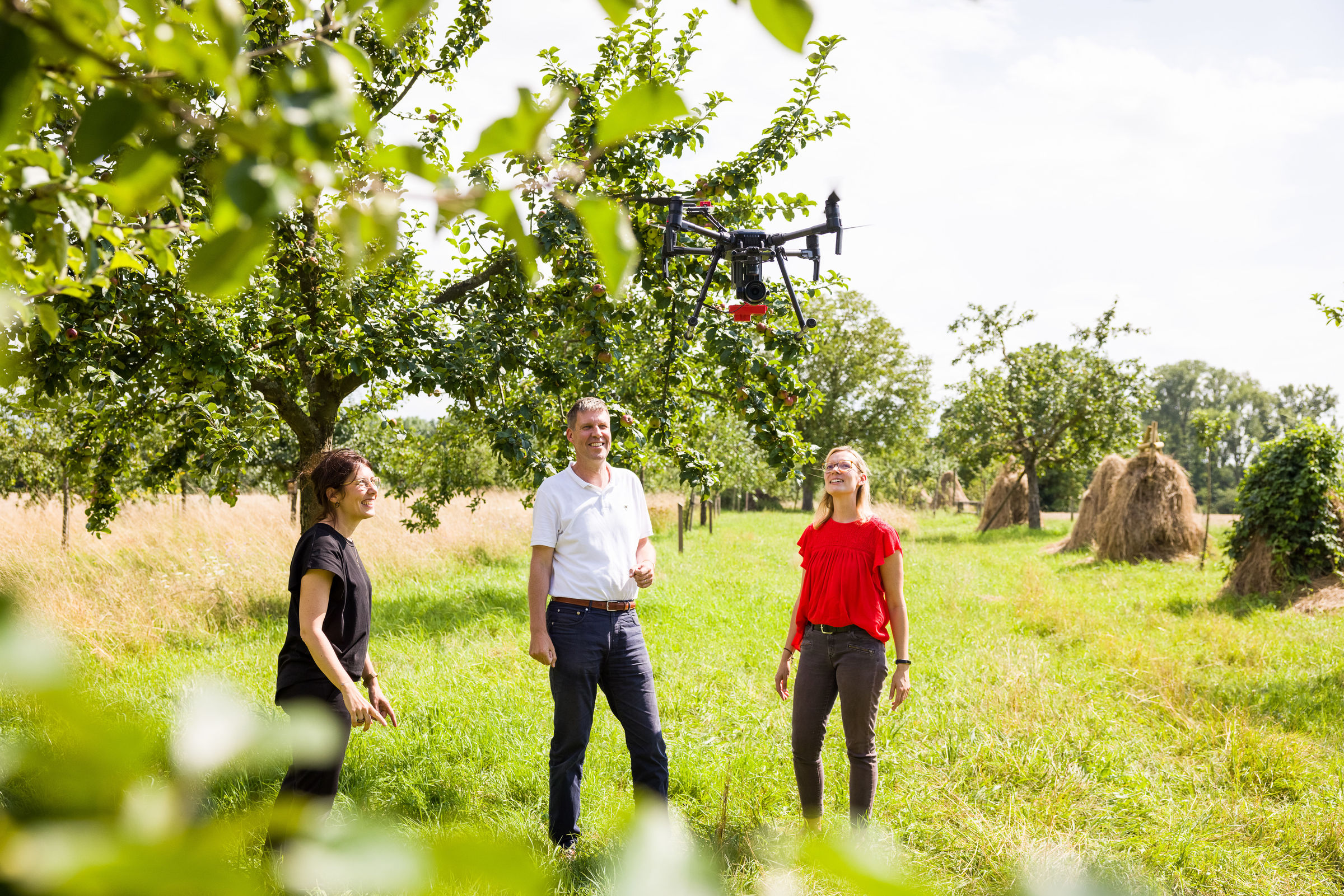 Drones for environmental protection: Successful monitoring of fruit ...