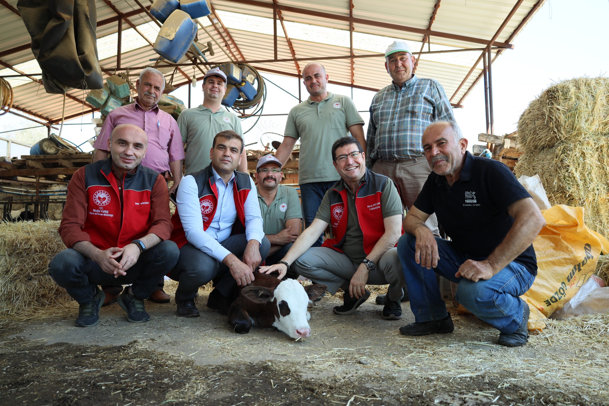 Buzağına Sahip Çık Projesiyle Ekonomiye 21 Milyon Kazanç - Agro World ...