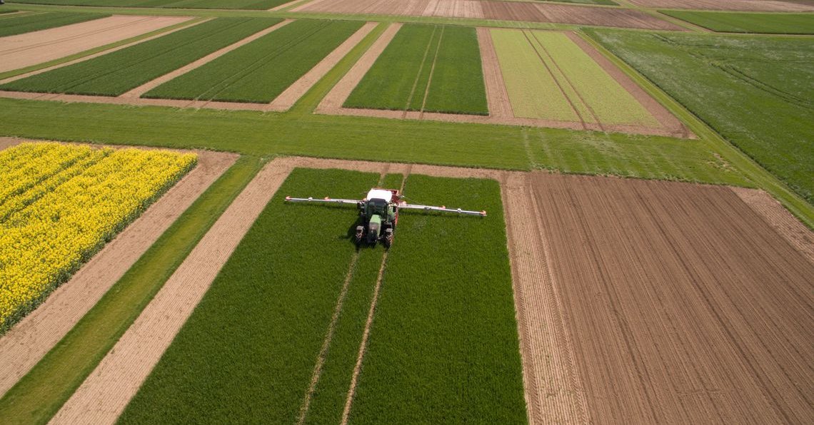 DLG Thai" to Manage Regional Projects with "DLG Asia Pacific"