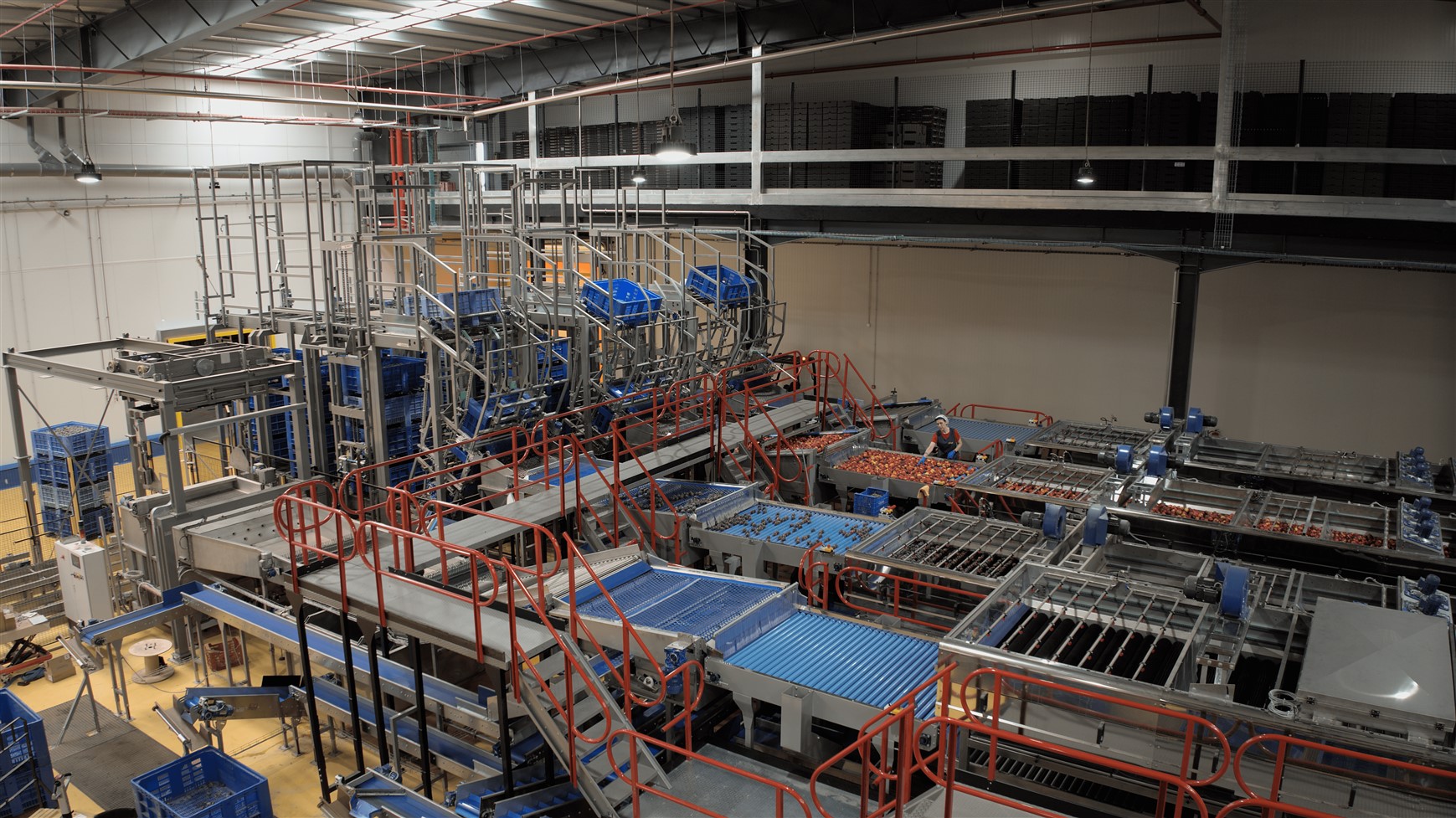 Sorma Group Presents A State-Of-The-Art Stone Fruit Processing