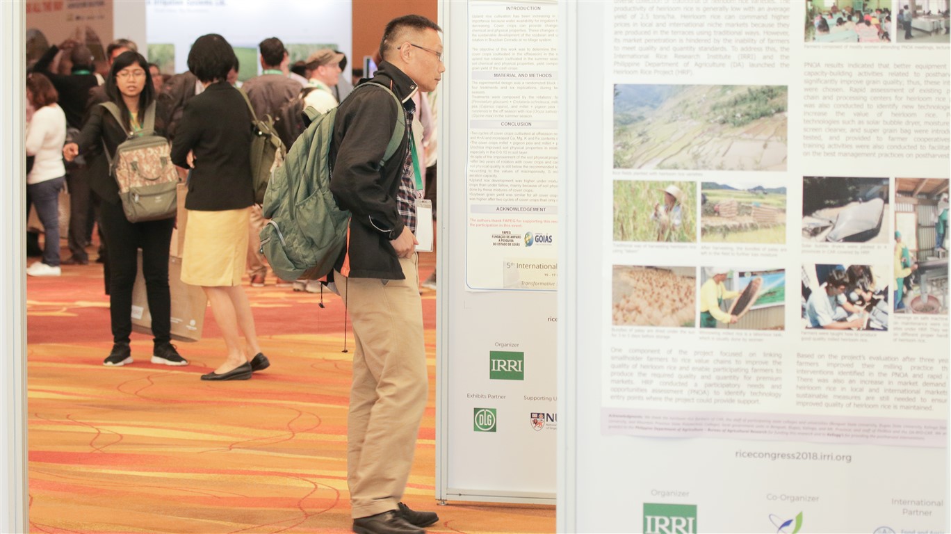 World’s rice experts preparing for 6th International Rice Congress