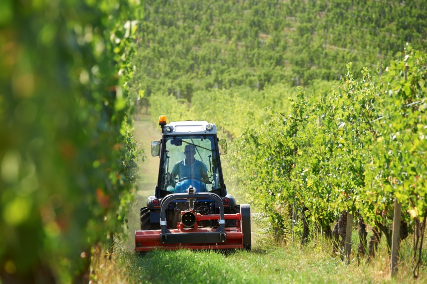 Italian market: Tractor down by 10%