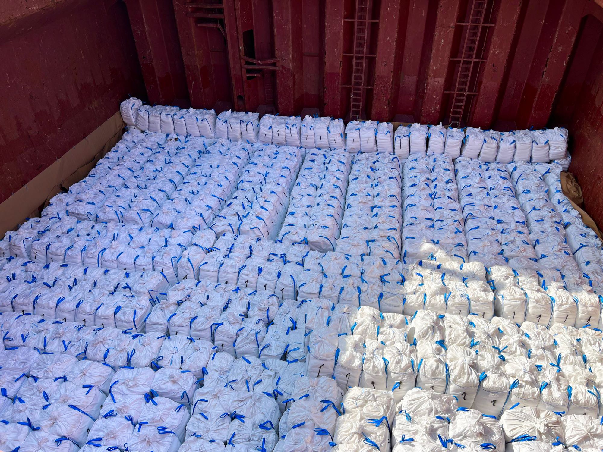 Pakun 2023’te ihracatını yüzde 25 artışla 55,7 milyon dolara çıkardı ...